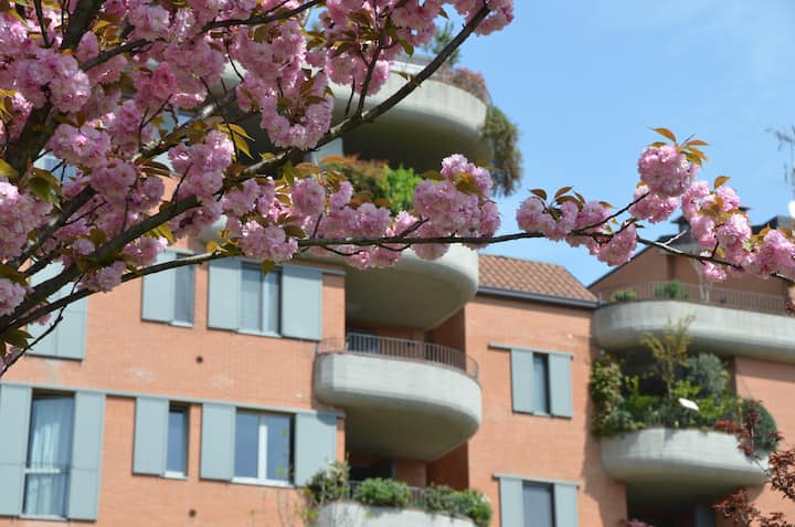 Attico Adiacente Ospedale San Raffaele - Cinisello Balsamo