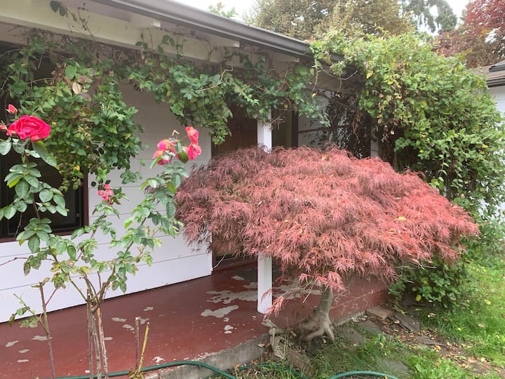 South Hills Rose House - University of Oregon, Eugene