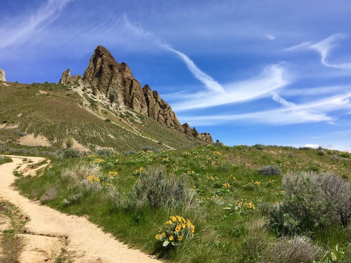 Orondo Vacation Rentals & Homes - Washington, United States | Airbnb