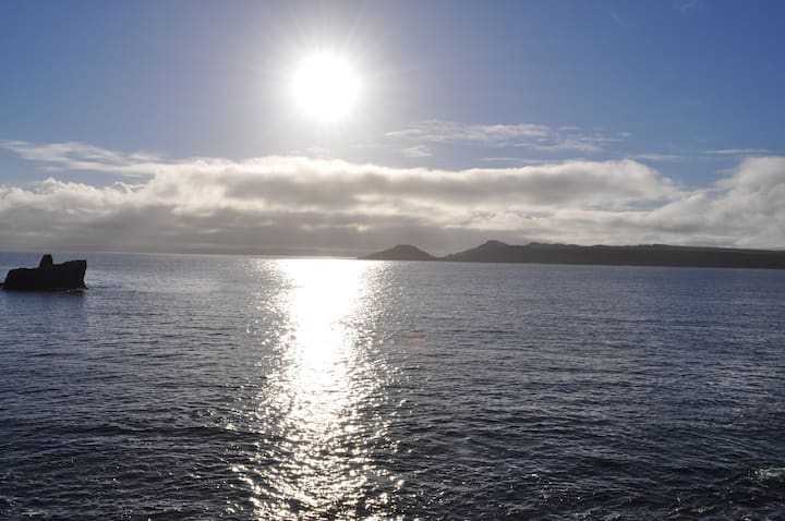 Anchor House, Entire 5-bed Home In Port De Grave - Bay Roberts