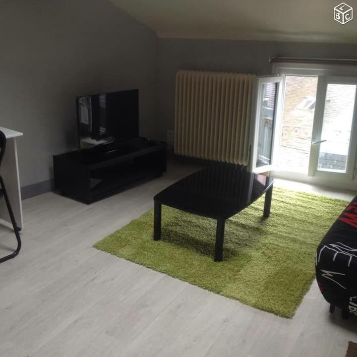 Agréable Studio En Plein Centre Ville De Poitiers - Poitiers