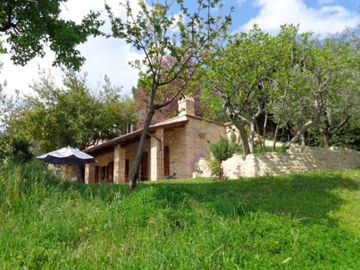 Il Piccolo Gioiello. Ruhe Zwischen Meer Und Bergen - Ascoli Piceno