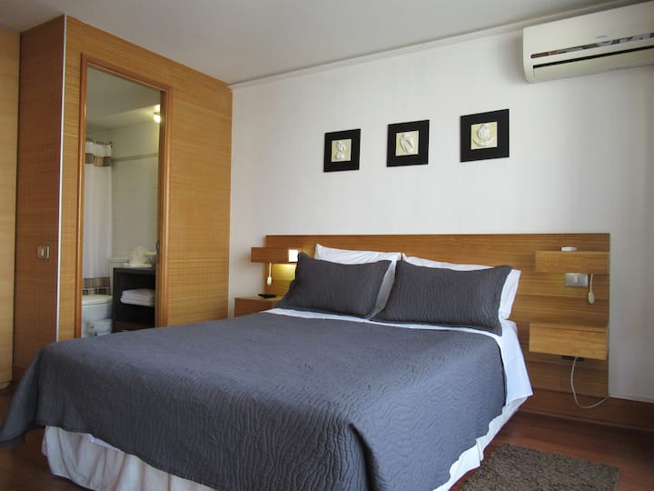 Departamento Triple Providencia - Providencia