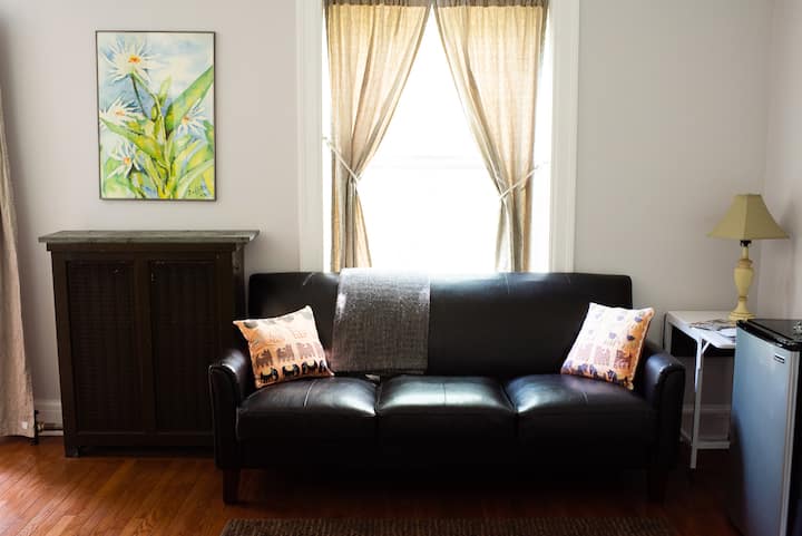 Master Suite/attached Bath/historic Cwe - St. Louis, MO