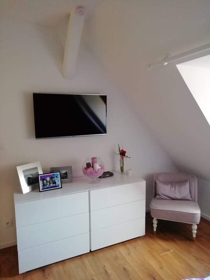 Laissez Vous Vivre À Ribeauvillé - Ribeauvillé