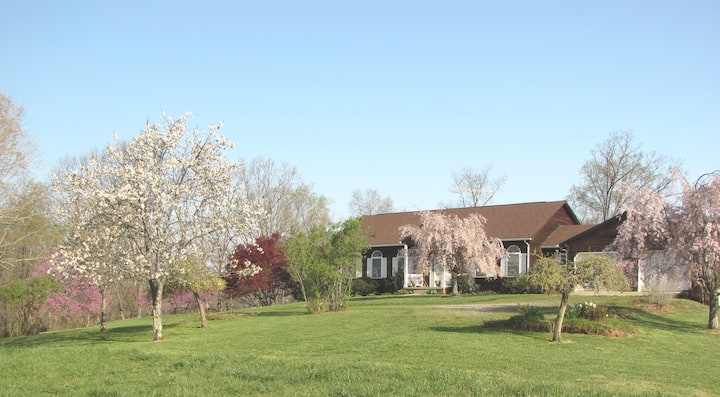 Old Farm Road - Lexington, VA