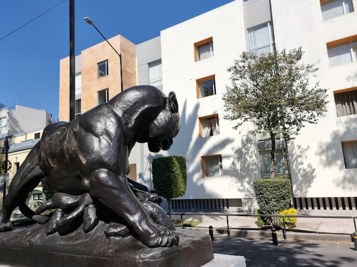 Dos Leones: Your Place In Roma Norte - Mexico City