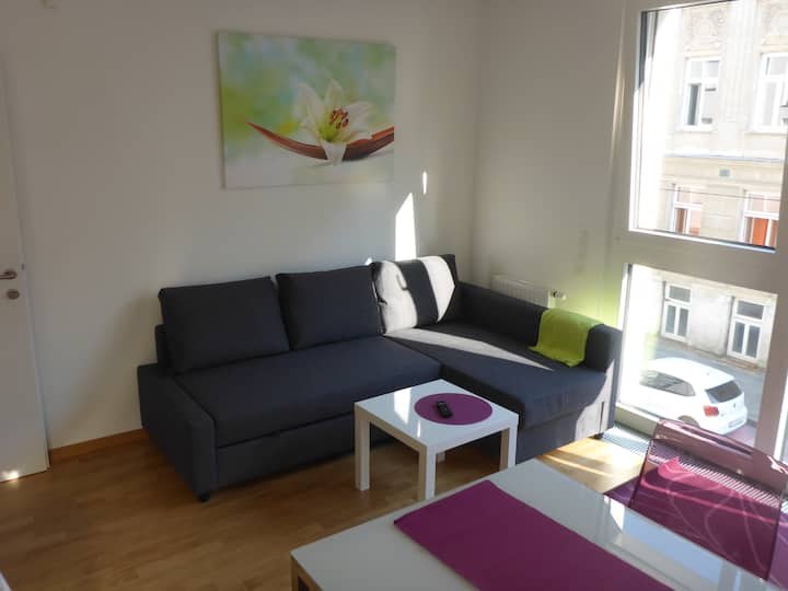 Comfortable Apartment In The Heart Of Vienna 7 - Viena