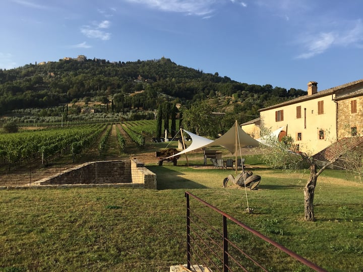 Cappella - Agriturismo Immerso Nelle Vigne - Montalcino