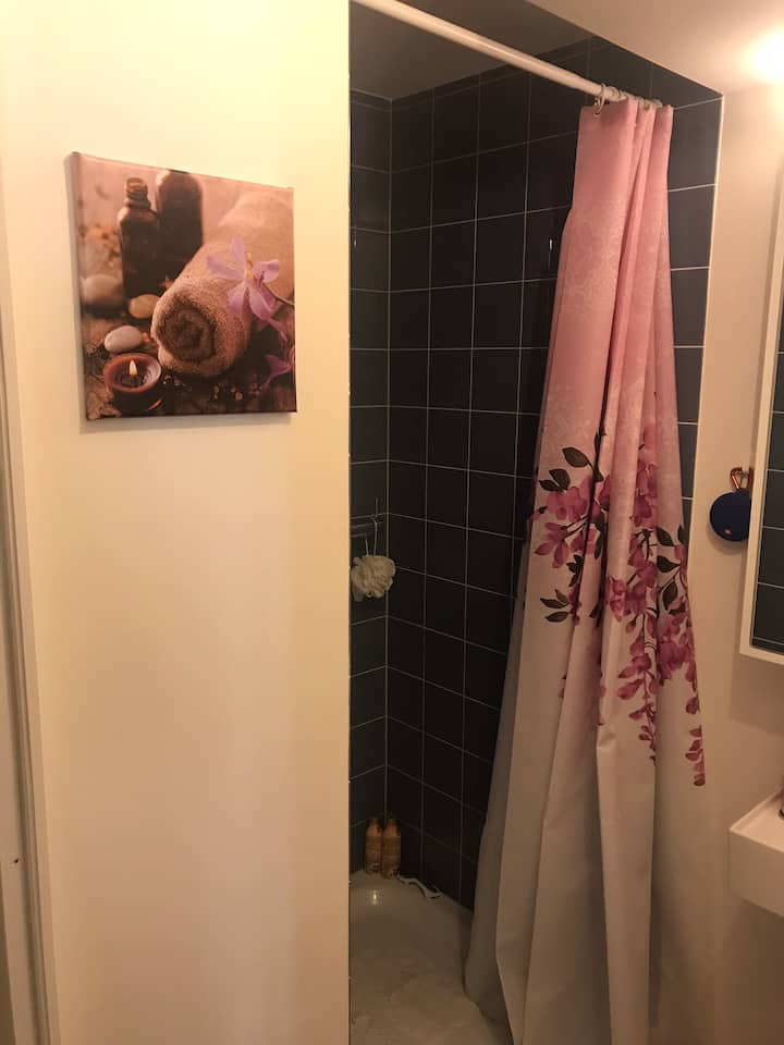 2 Rooms Apartment In Basel-city - Basel