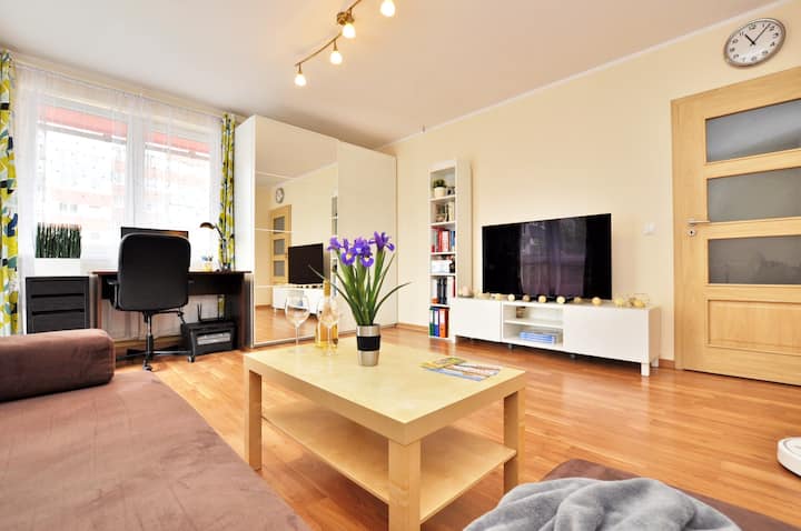 Comfortable Apartment Near Center - Wrocław