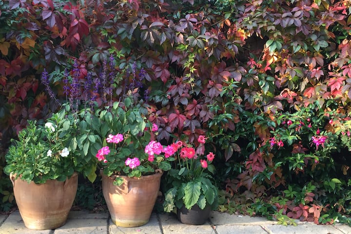 Lovely Flat In Telegraph Hill, London - London