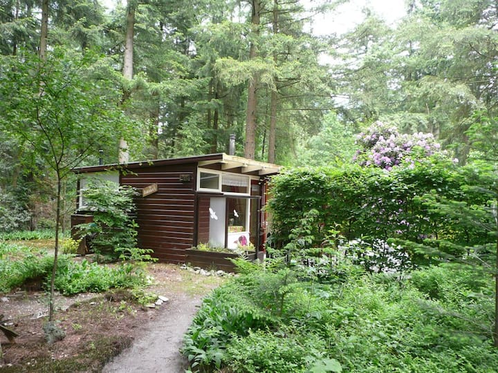 Fijn Huisje Aan De Rand Van Het Bos - Apeldoorn