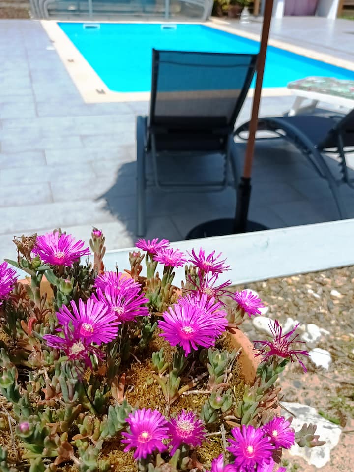 Gîte Au Calme, Climatisé, Possibilité Baignade - Landes