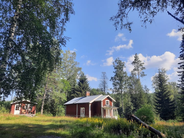 Wunderschönes Grundstück Mit Alleinlage Im Wald - Nora