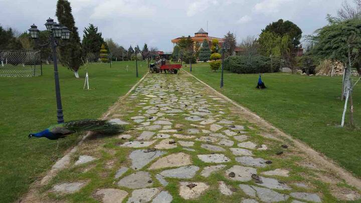 ÇIftlik Evi - Silivri