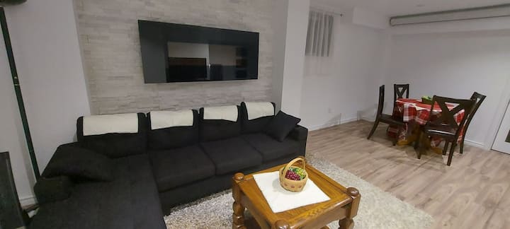 Beautiful Spacious Basement Suit In Bradford - Bradford, ON, Canada