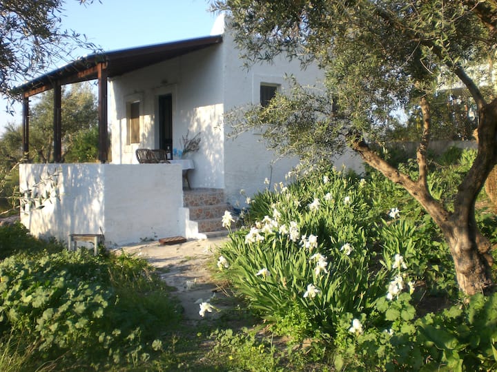 Kalokairi Cottage - Kos
