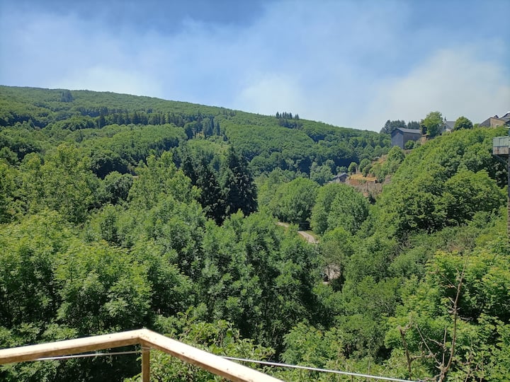 Agréable Maison Au Centre De
La Salvetat / Agout - Lacaune