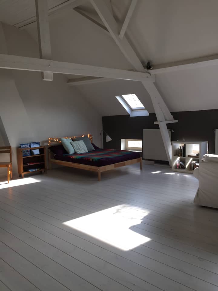 Attic Full Of Charm In Genval, Brussels/waterloo - Wavre