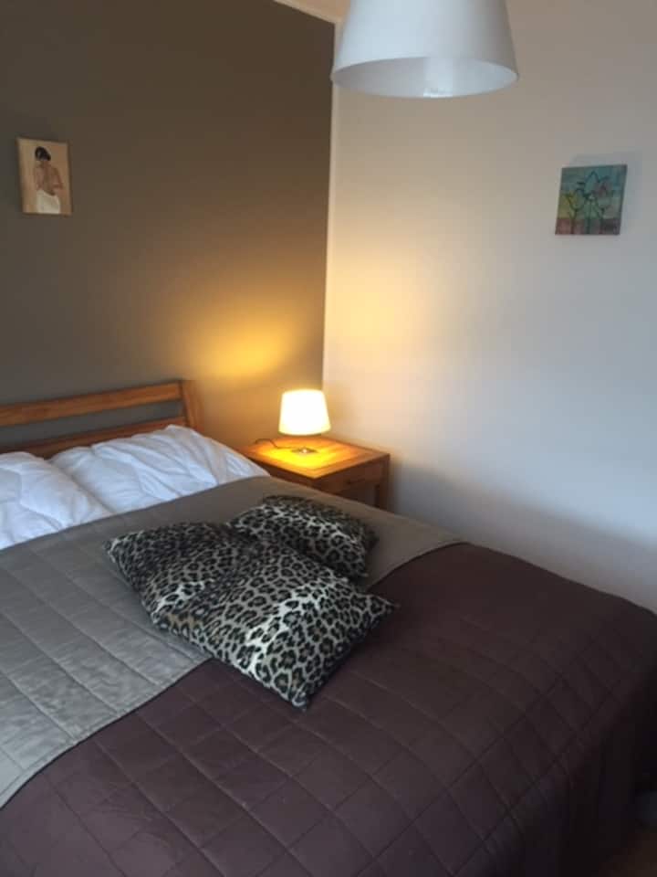 A Nice And Cozy Retreat Close To City Center - Iceland