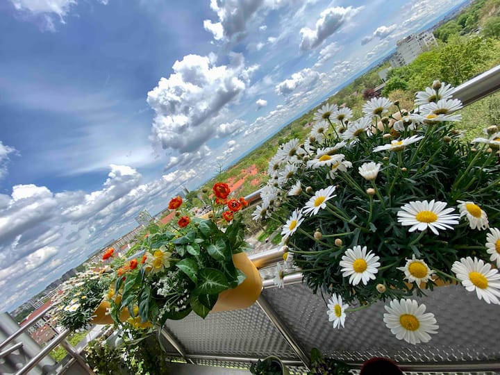 Airport - Messe
- City Center - View - Stuttgart