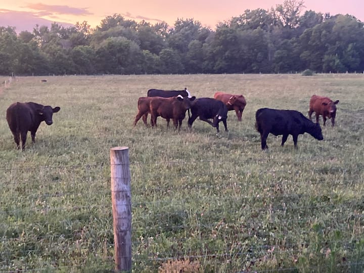 10 Best Ranches To Stay In Indiana, USA - Updated 2024 | Trip101