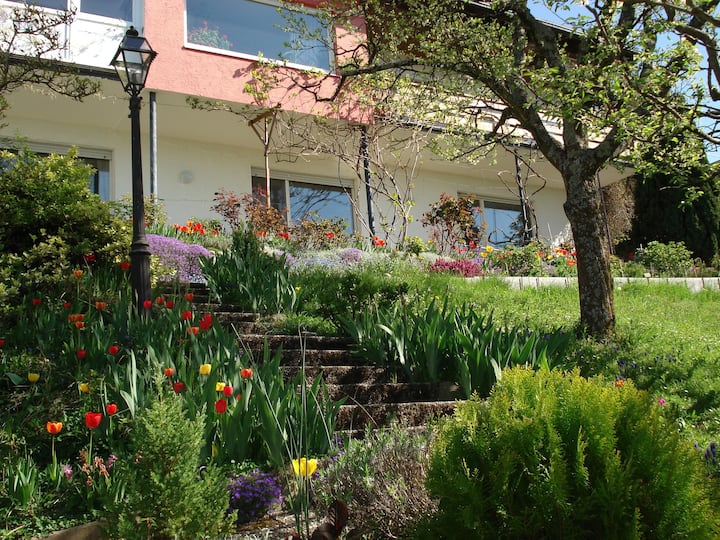 Sonnige 2zi-wohnung Im Grünen, 2km Vom Bodensee - Daisendorf