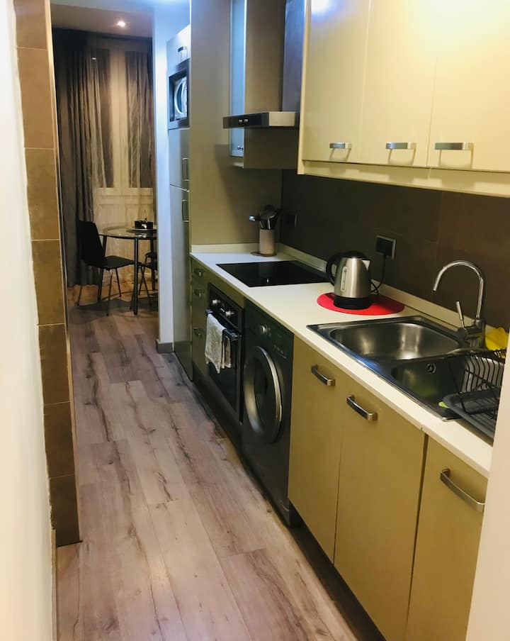 Downtown Apartment In Plz.españa - Barcelona