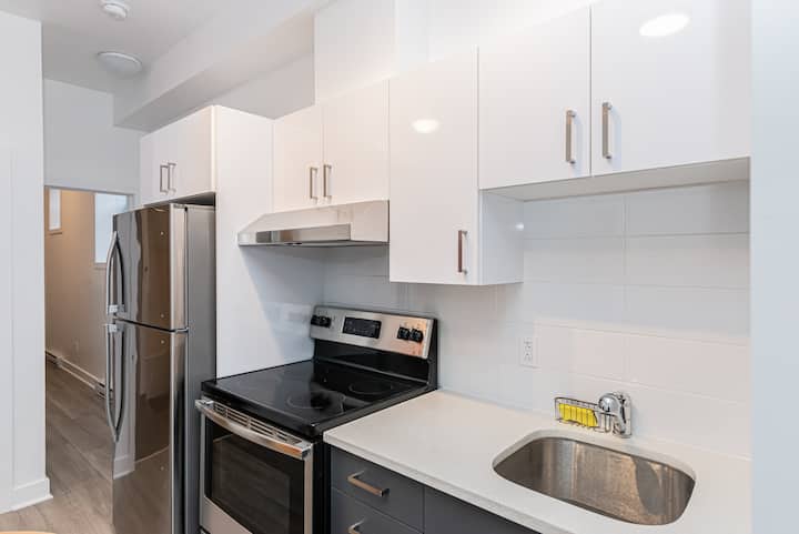 New And Beautiful Downtown Apartment!!!! - Lasalle