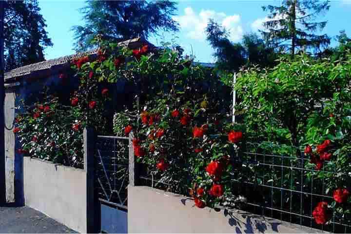 Chambre Appart à 30 Min De Cholet 40 Km Puy Du Fou - Bressuire