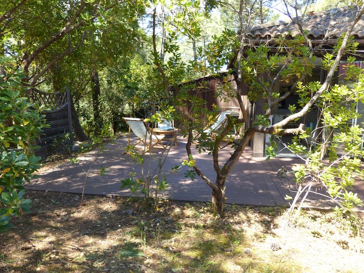 Maison Sous Les Pins Lacanau Océan 4/5 Pers+vélos - Lacanau Océan