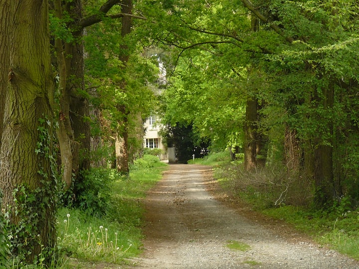 Charmant Gîte: La Campagne Si Proche De La Ville - Chantilly