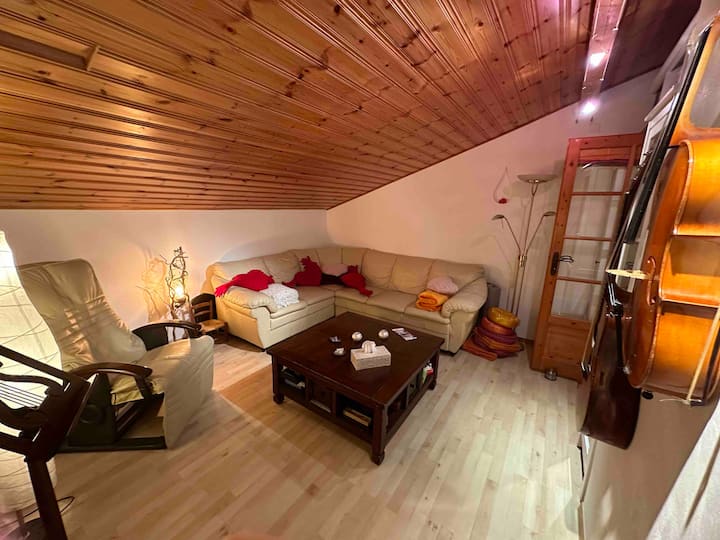 1 Chambre Avec Vue Incroyable - Montreux