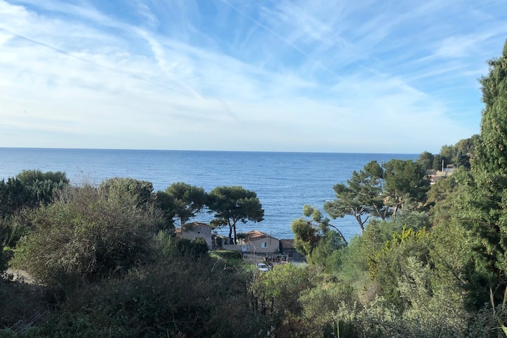 Villa Vue Mer 100m De La Plage/crique - Carqueiranne