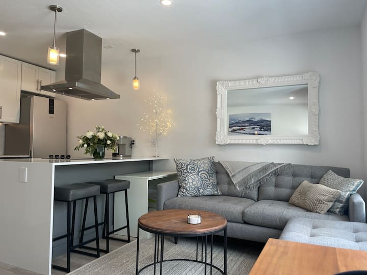 Cozy Central Core Aspen Studio - Aspen, CO