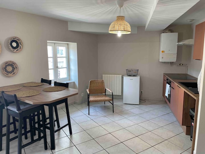 Le Pomelo : Appartement En Plein Cœur D’annonay - Annonay