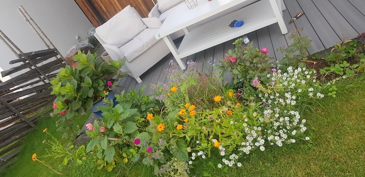 Enebolig Sentralt I Elverum - Elverum