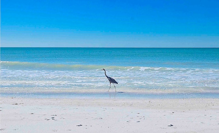 Charming Beach Sanctuary On Siesta Key - Siesta Key, FL