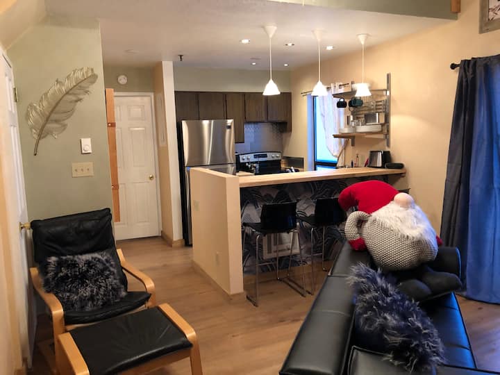 Come Experience Skitopia-true Ski In/out Condo Steps From The Silverqueen Lift - Crested Butte, CO