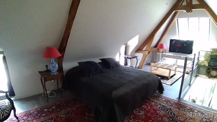 Chambre "Sportive" Dans L'ex-résidence Des ÉVêques - Loudéac