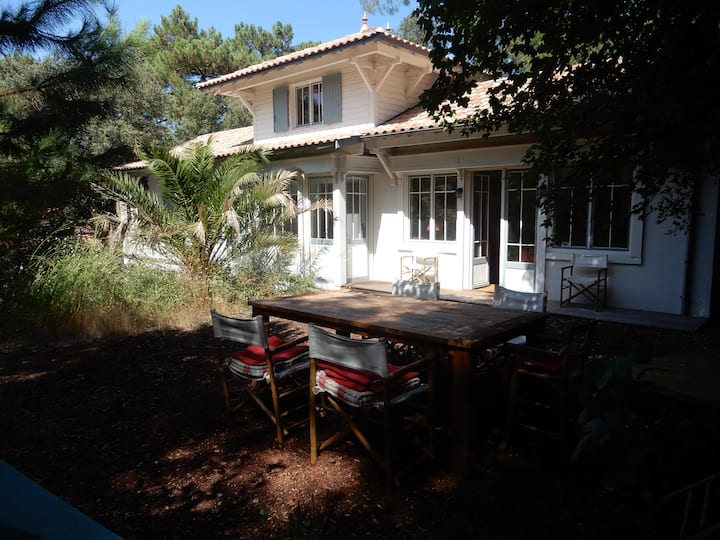 Dune Du Pyla, Moulleau, Havre De Verdure - Cap Ferret