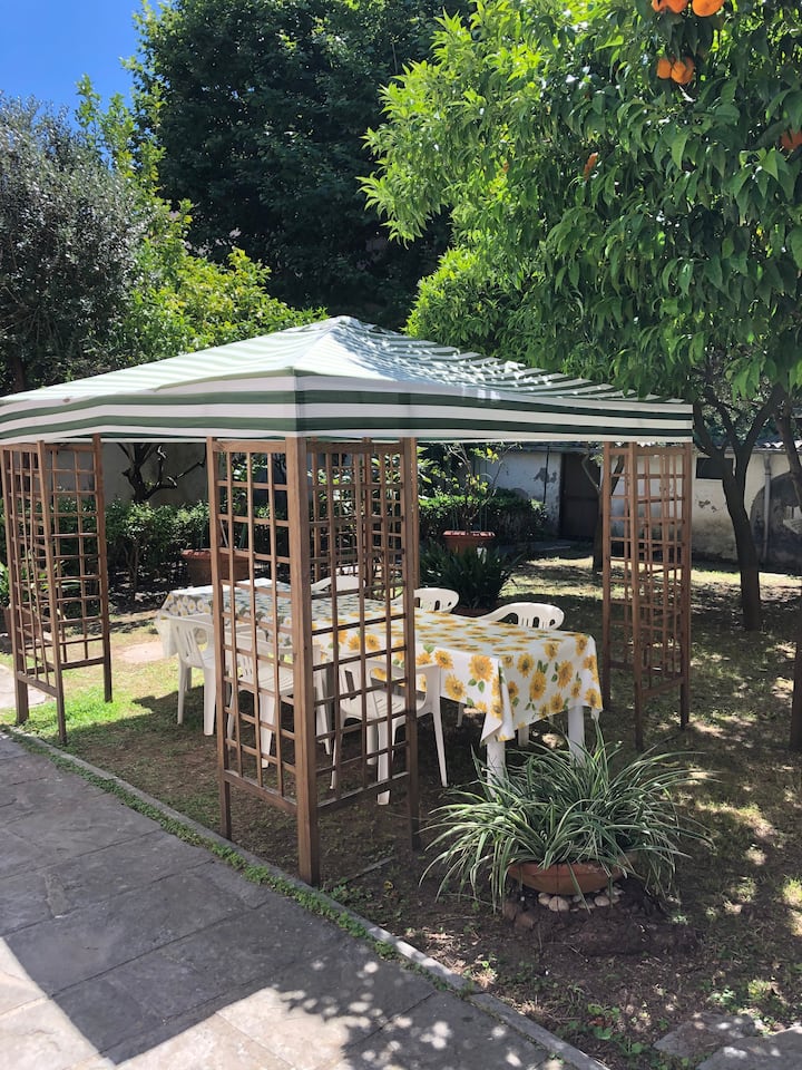 Appartamento Con Giardino Nel Cuore Di Viareggio - Viareggio