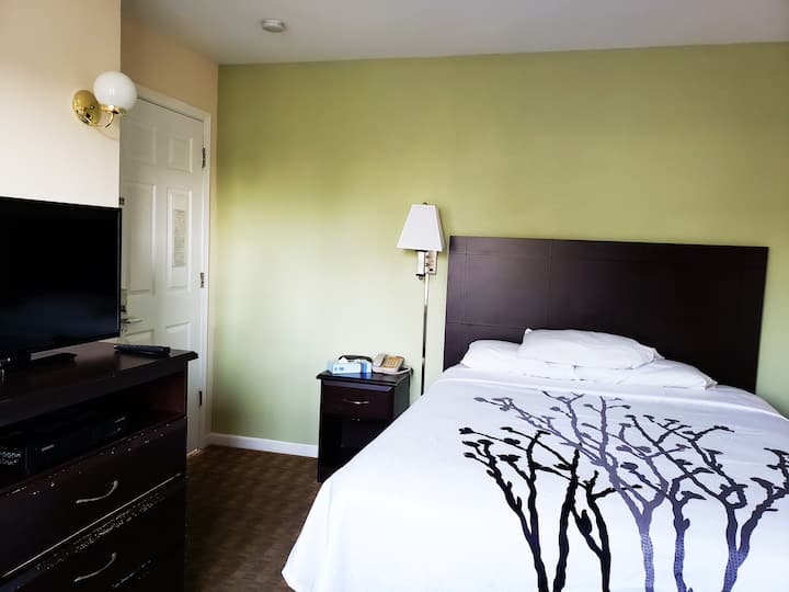 Sea Girt Lodge | Standard Room One Queen Bed - Sea Girt, NJ