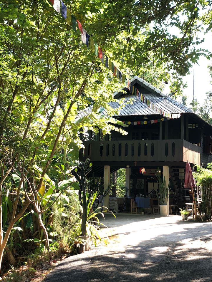 Raaw House - Chiang Mai
