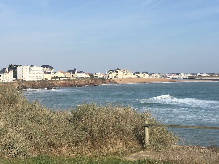 Entre Plages Et Marais - Vendée