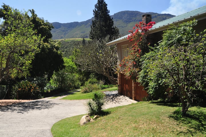Kierie Kwaak Self Catering Guest House - Stellenbosch