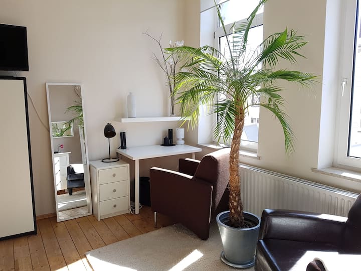 Central Room+Balcony Zoo Area - Airbnb