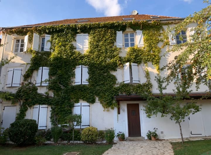 Appartement Dans Maison De Maitre Au Centre Ville - Vesoul
