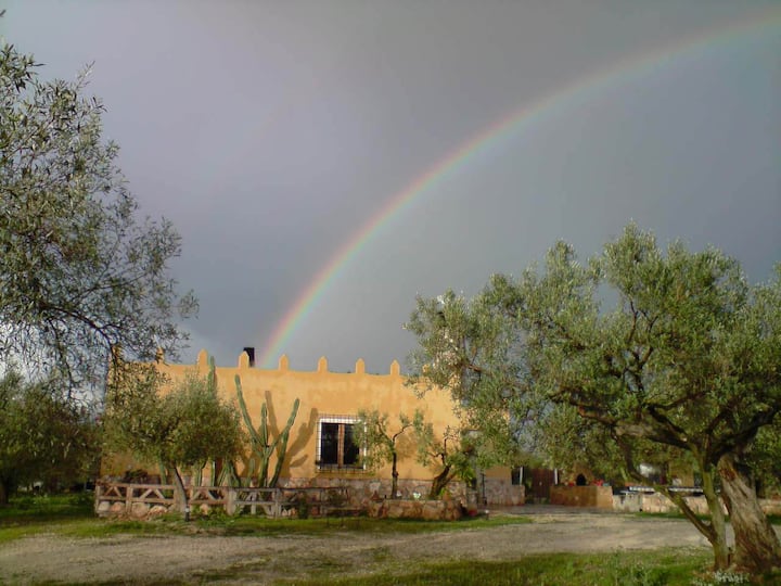 Castell Dels Angels, Chalet En El Delta - Deltebre